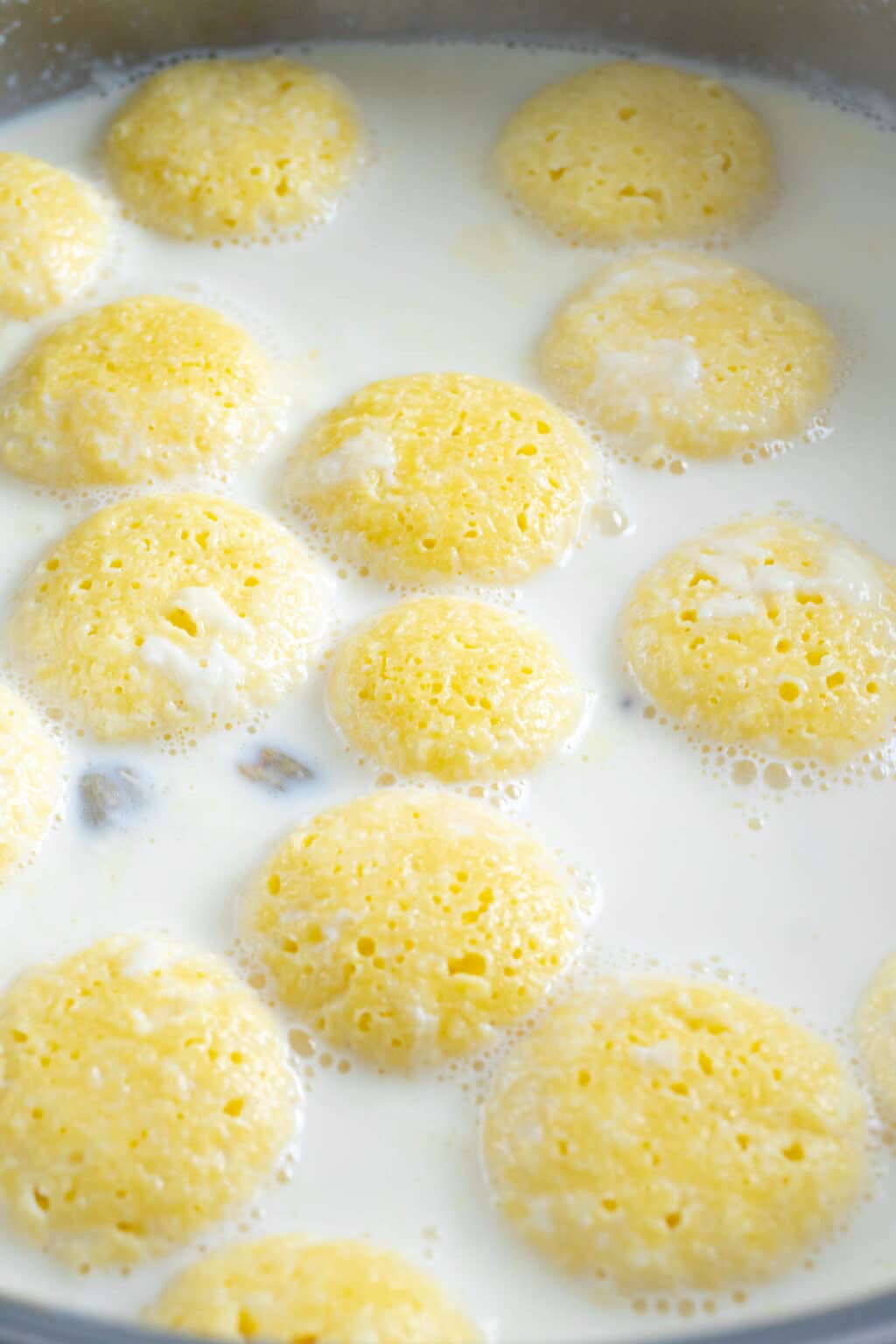 Easy Rasmalai Recipe (with Milk Powder)